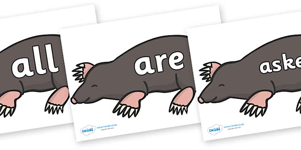 Tricky Words on Moles (teacher made) - Twinkl