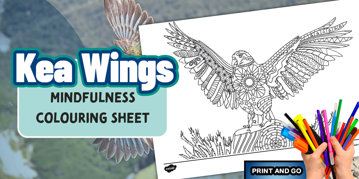 Kea Wings Mindfulness Colouring Page