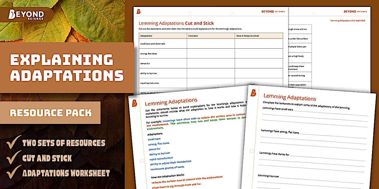 Explaining Adaptations Resource Pack | KS3 | Beyond Science