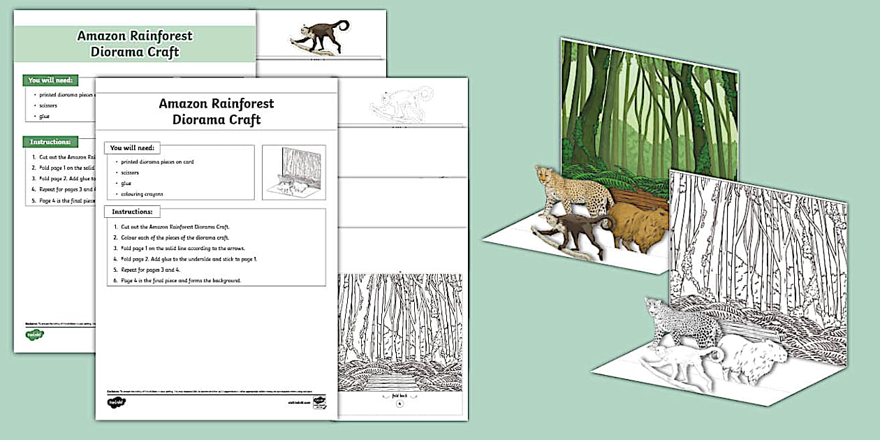 Amazon Rainforest Project - Diorama Craft - KS2 - Twinkl