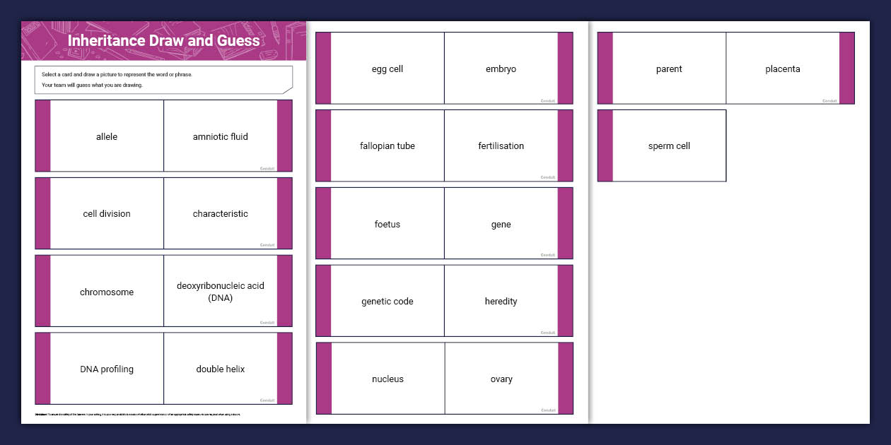 Inheritance: Draw and Guess Activity Sheet (teacher made)