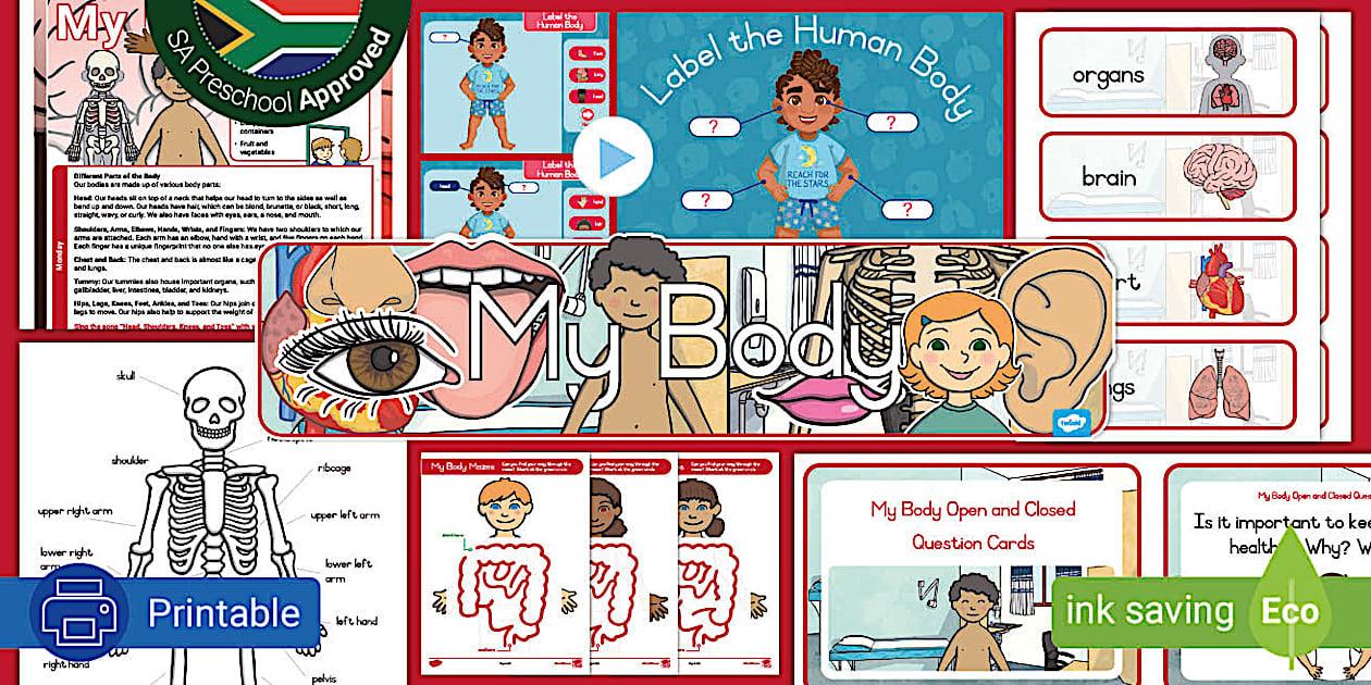 My Body: Pictures Preschool Resource Pack | Twinkl ZA