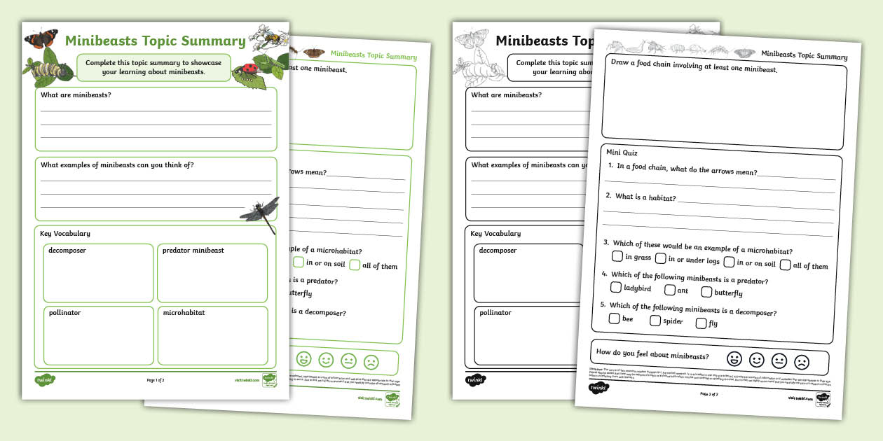 All About Minibeasts Topic Summary Template (Teacher-Made)