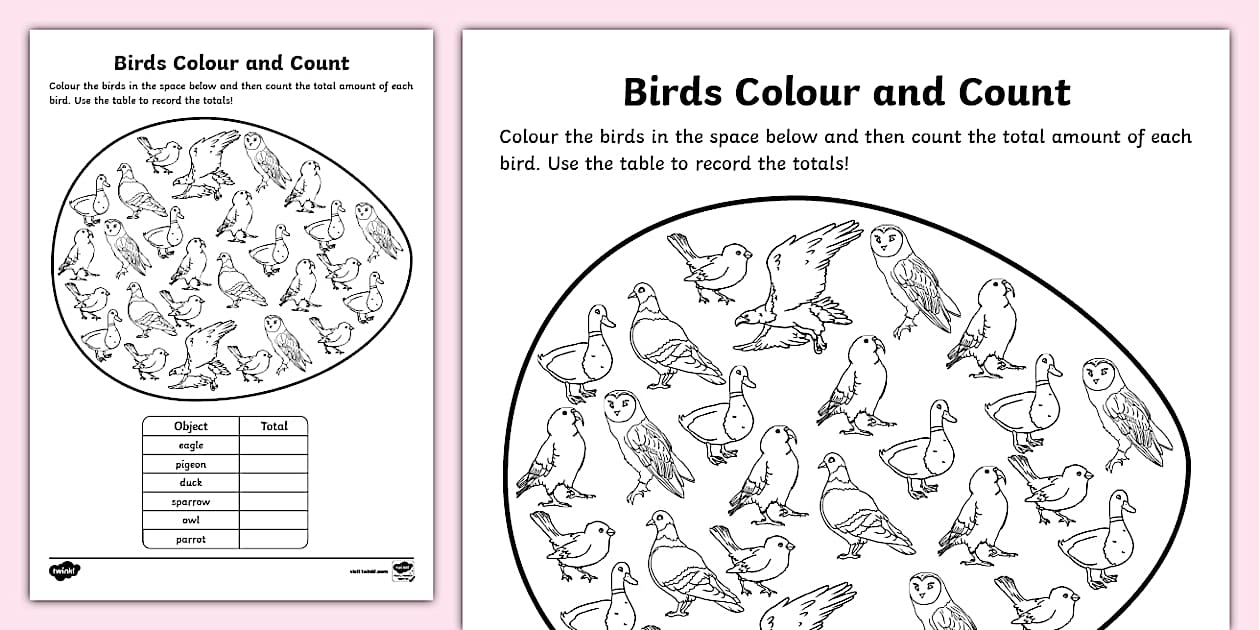 👉 Birds Colour and Count Worksheet (teacher made)