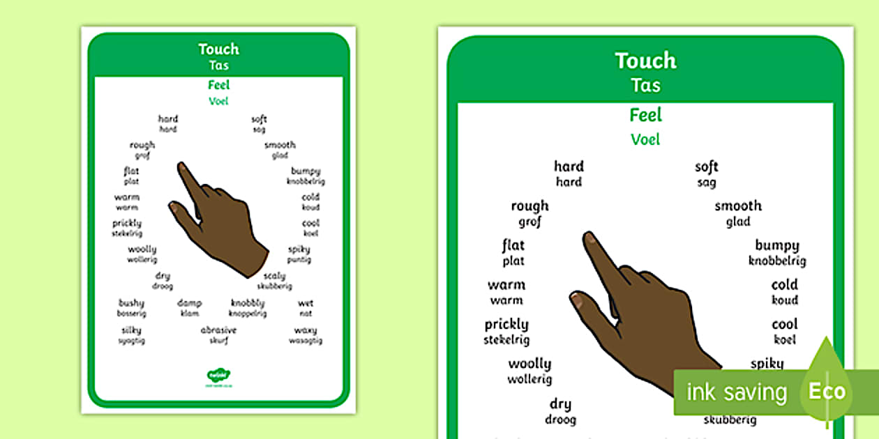 Foundation Phase - FAL - Display Poster: Touch Vocabulary