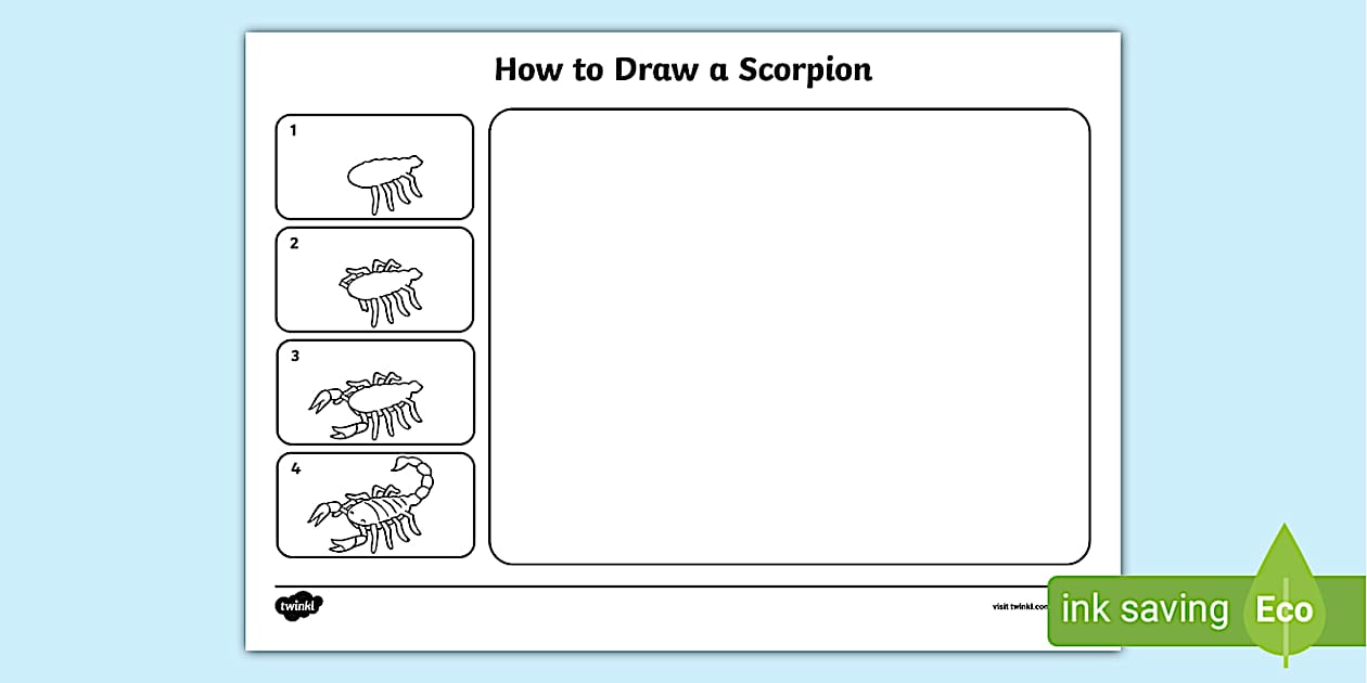 How to Draw a Scorpion Activity | Drawing and Art | Twinkl