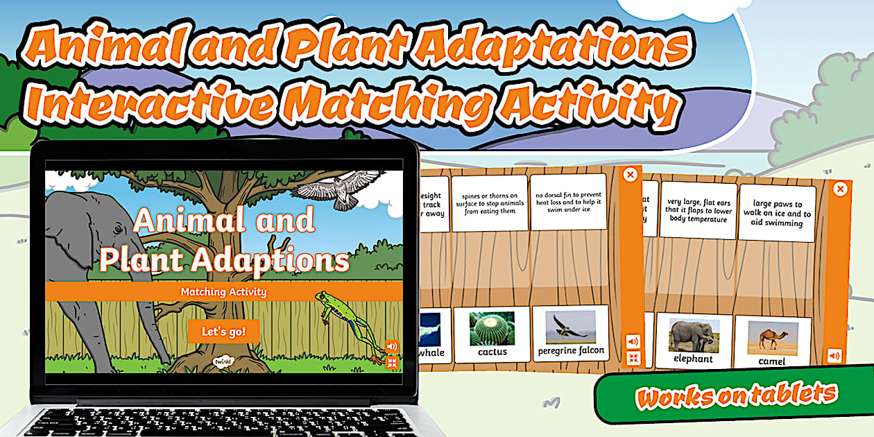 Animal and Plant Adaptations Interactive Matching Activity