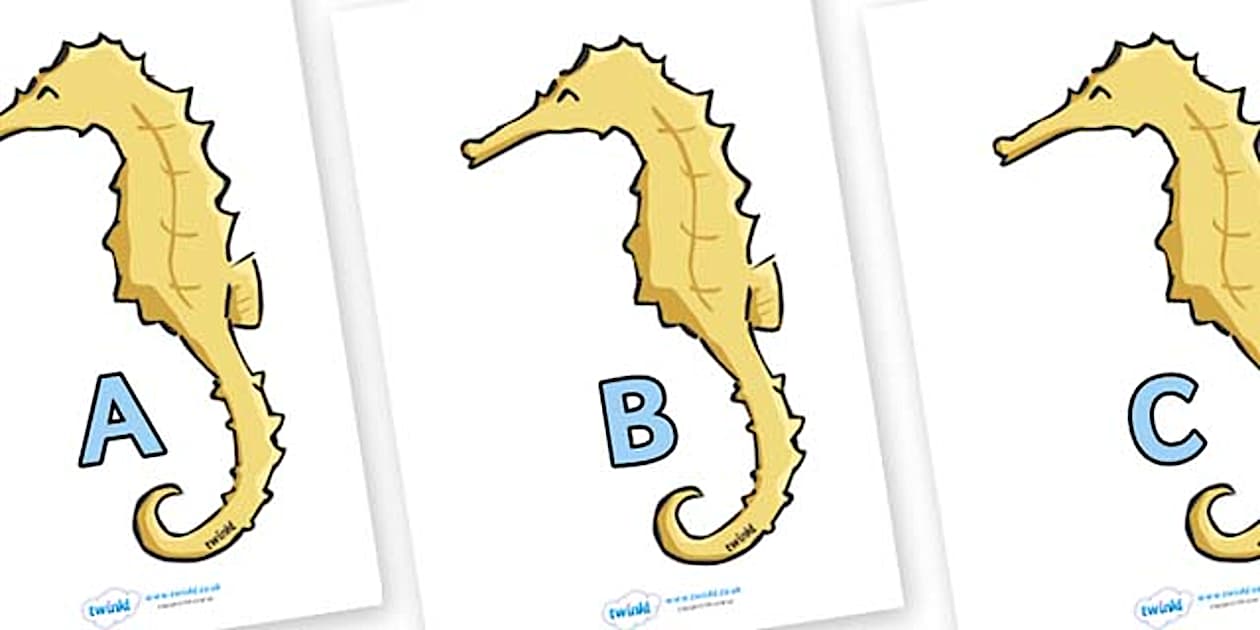A-Z Alphabet on Seahorses (teacher made) - Twinkl