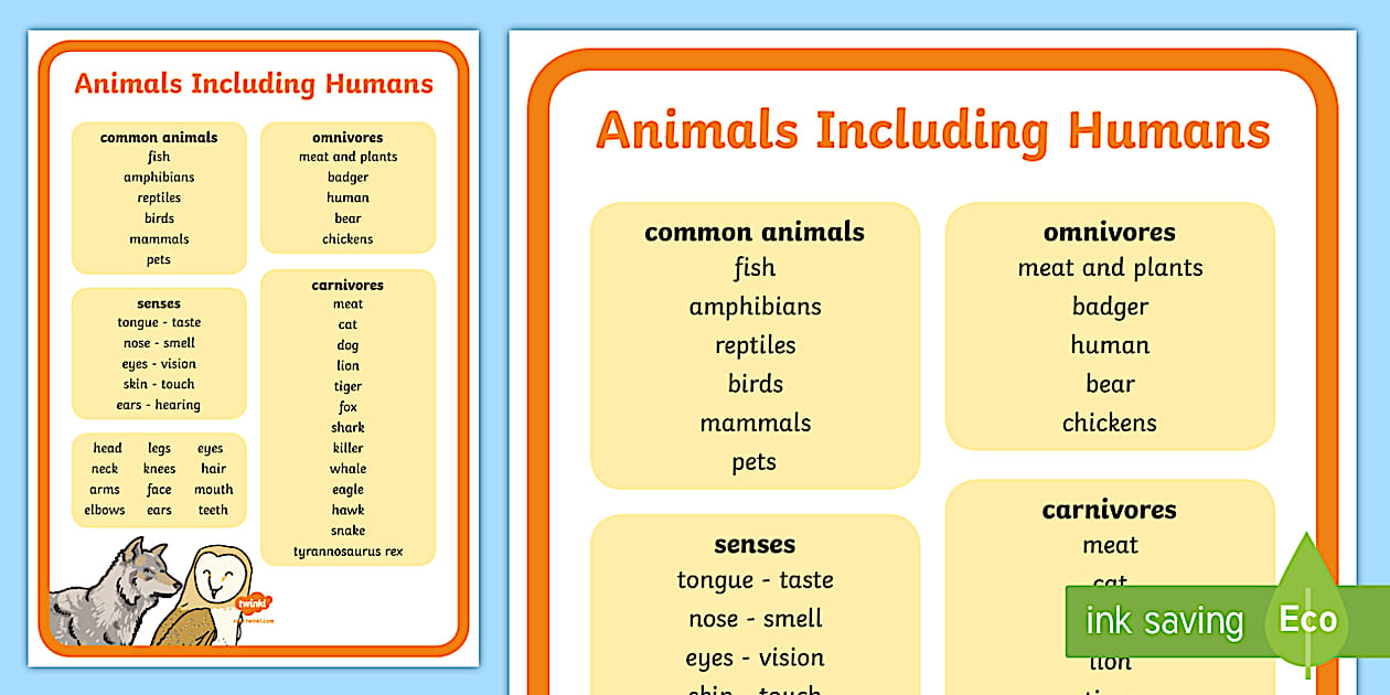 Animals Including Humans Scientific Vocabulary Poster
