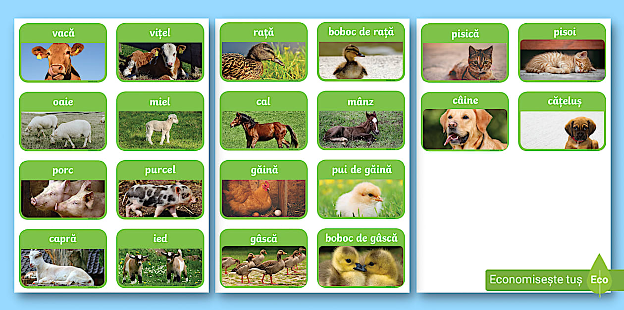 Animalele domestice și puii lor – Cartonașe cu imagini