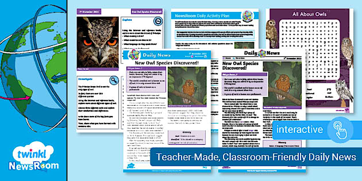 New Owl Species Discovered - Daily NewsRoom Pack (ages 7-11)