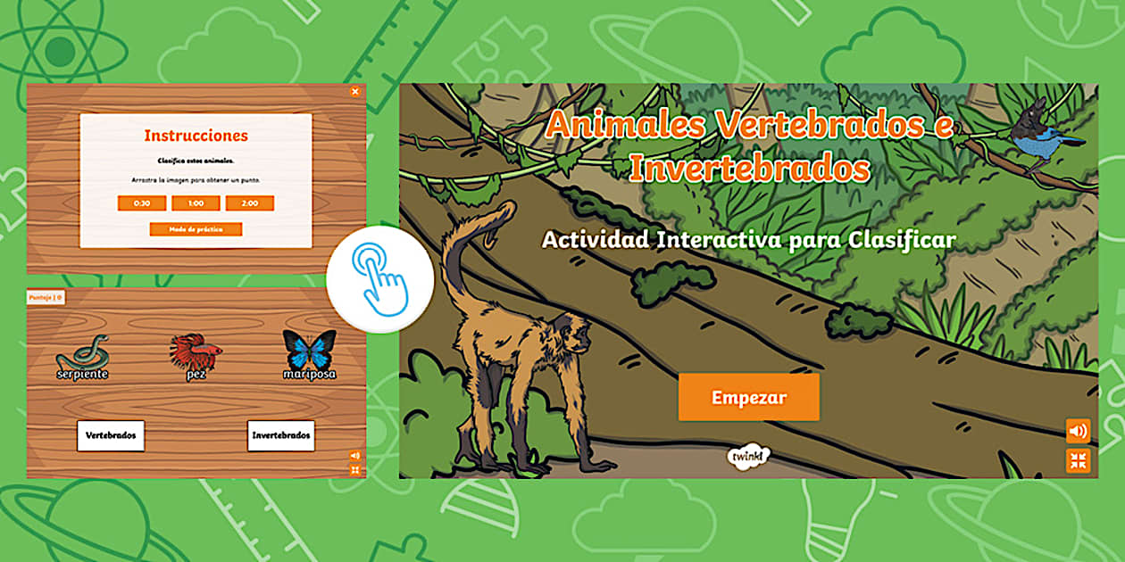Actividad Interactiva para Clasificar: Animales Vertebrados e Invertebrados