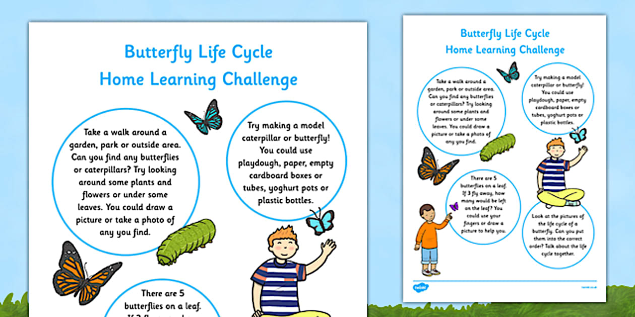Black and White EYFS Butterfly Life Cycle Home Learning Challenges ...