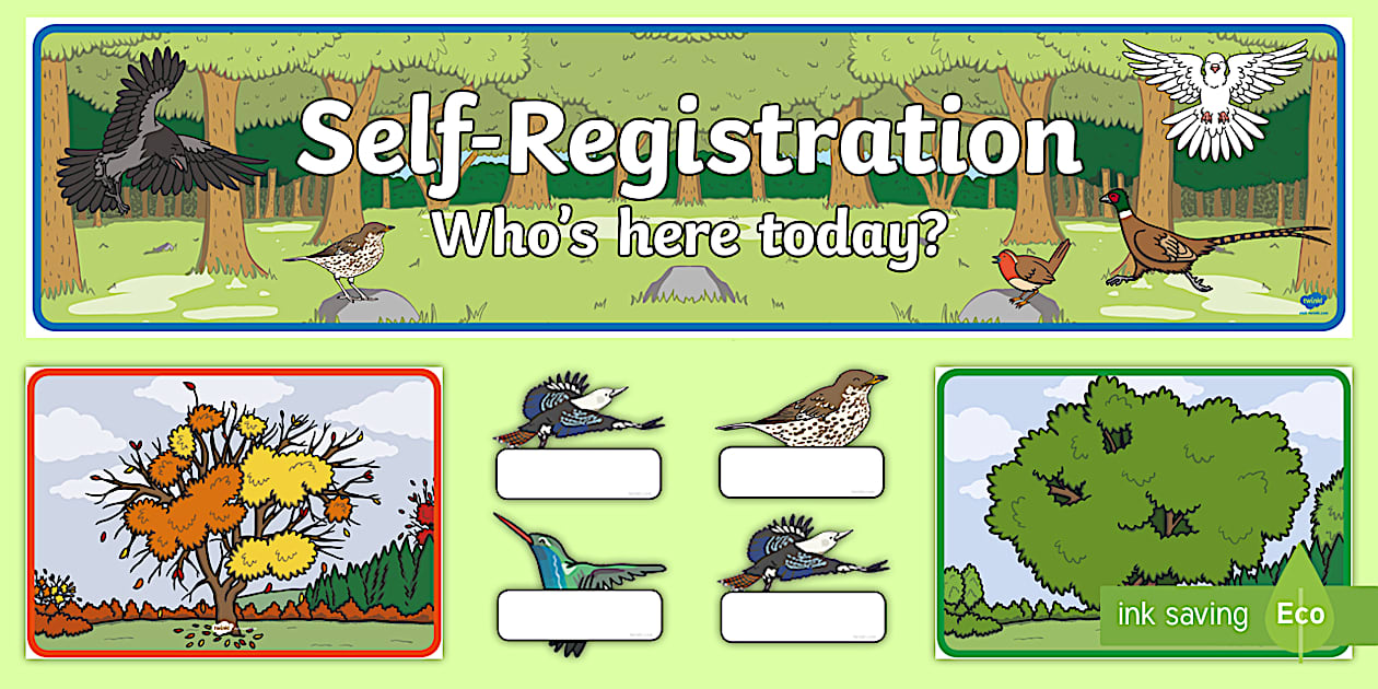 KS1 Garden Birds Self-Registration Display Pack - Twinkl