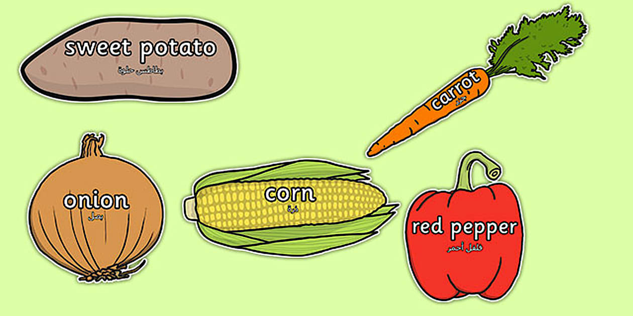Vegetable Words on Vegetables Arabic Translation - Twinkl