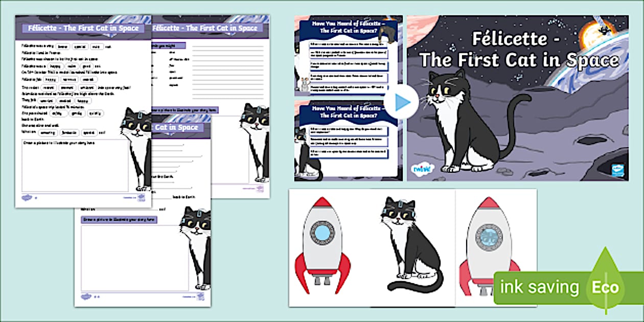 The First Cat in Space Lesson | CfE Early Level Resources