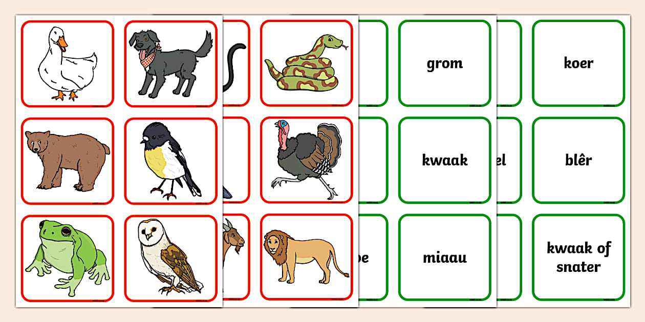 Diere Geluide Paskaarte vir Grondslag Fase Leerders - Twinkl