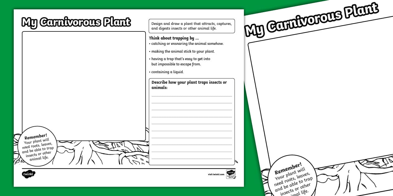 Create a Carnivorous Plant Worksheet (Teacher-Made) - Twinkl