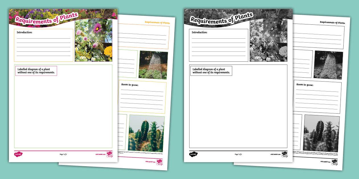 KS2 Requirements of Plants Non-Chronological Report Template