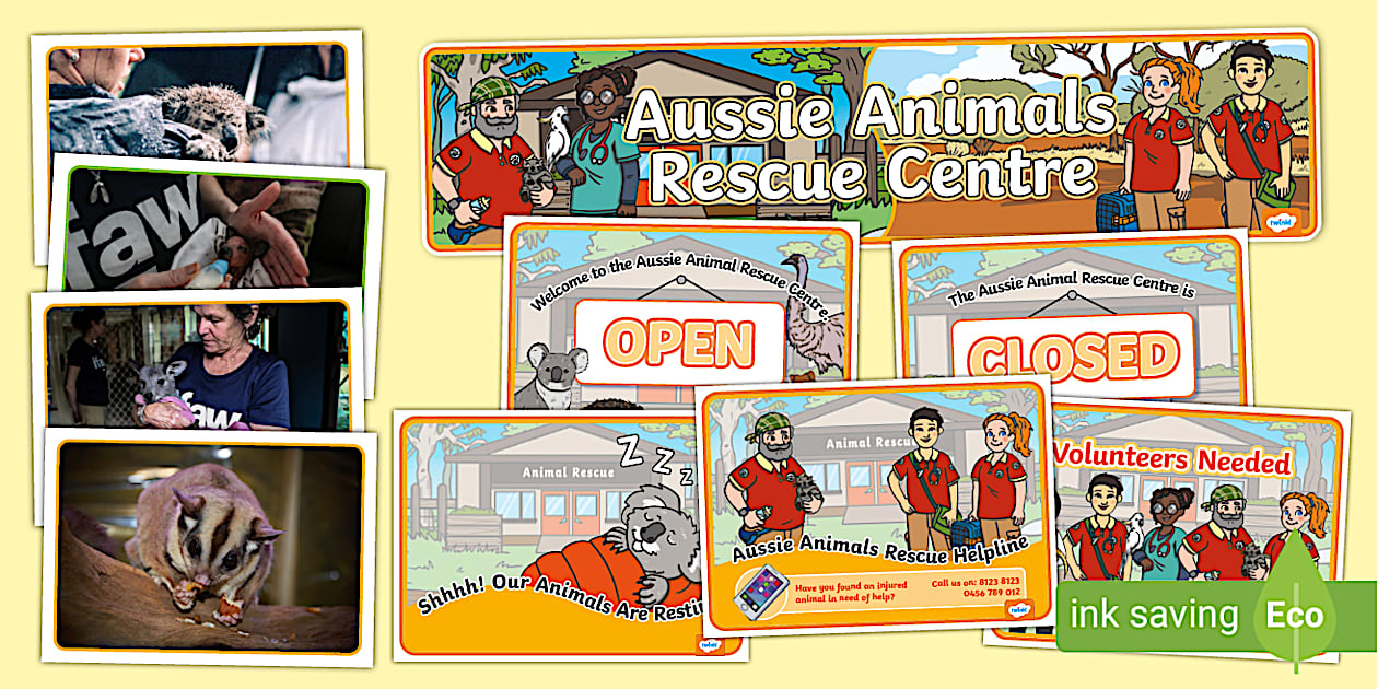 Aussie Animal Rescue Centre Role Play Pack - Twinkl