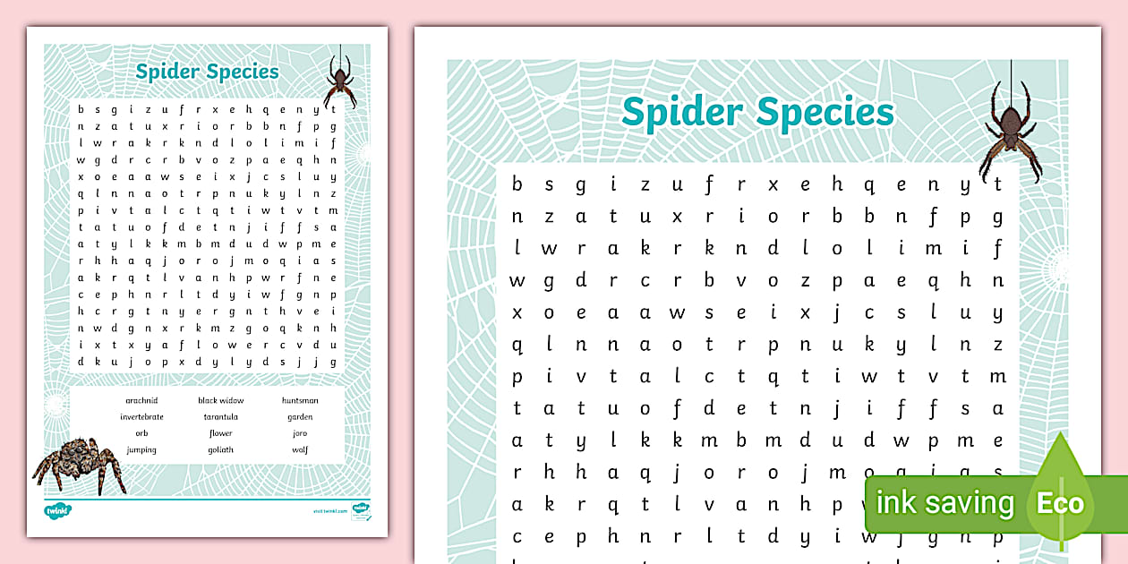 Spider Species Word Search (teacher made) - Twinkl