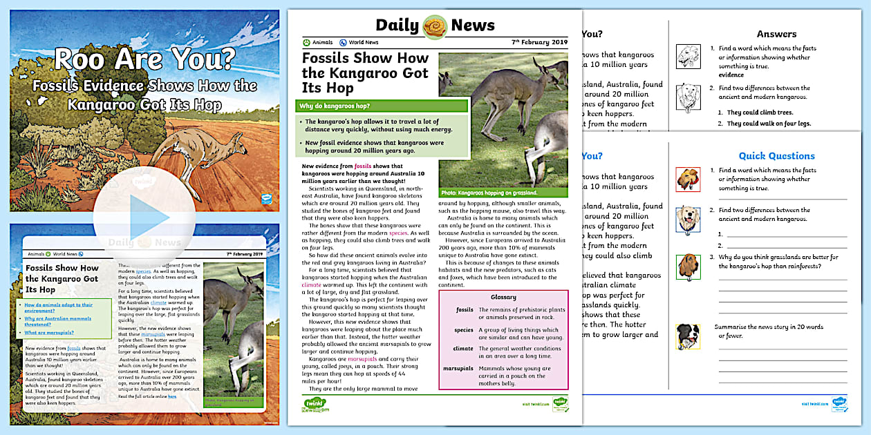UKS2 Kangaroo Evolution Daily News Resource Pack - Twinkl