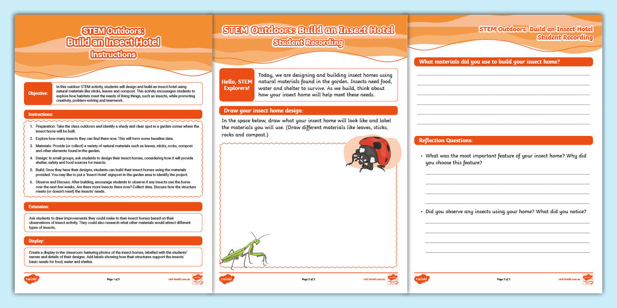 STEM Outdoors: Build an Insect Hotel (Teacher-Made) - Twinkl