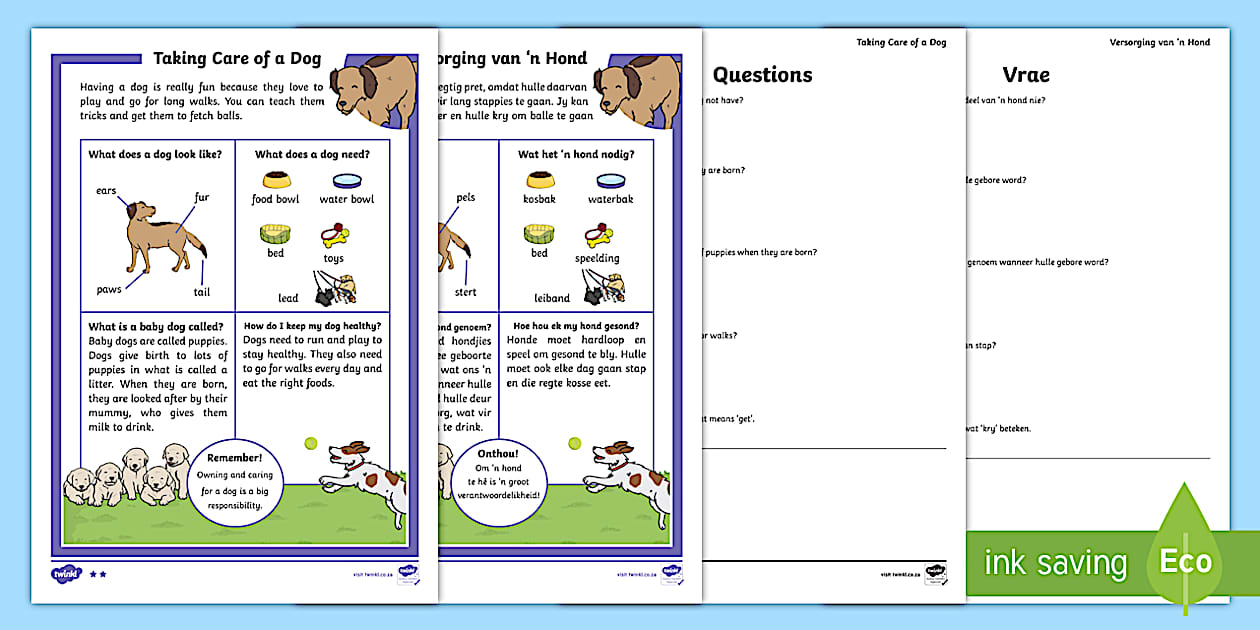 How To Look After a Dog Differentiated Reading Comprehension Activity