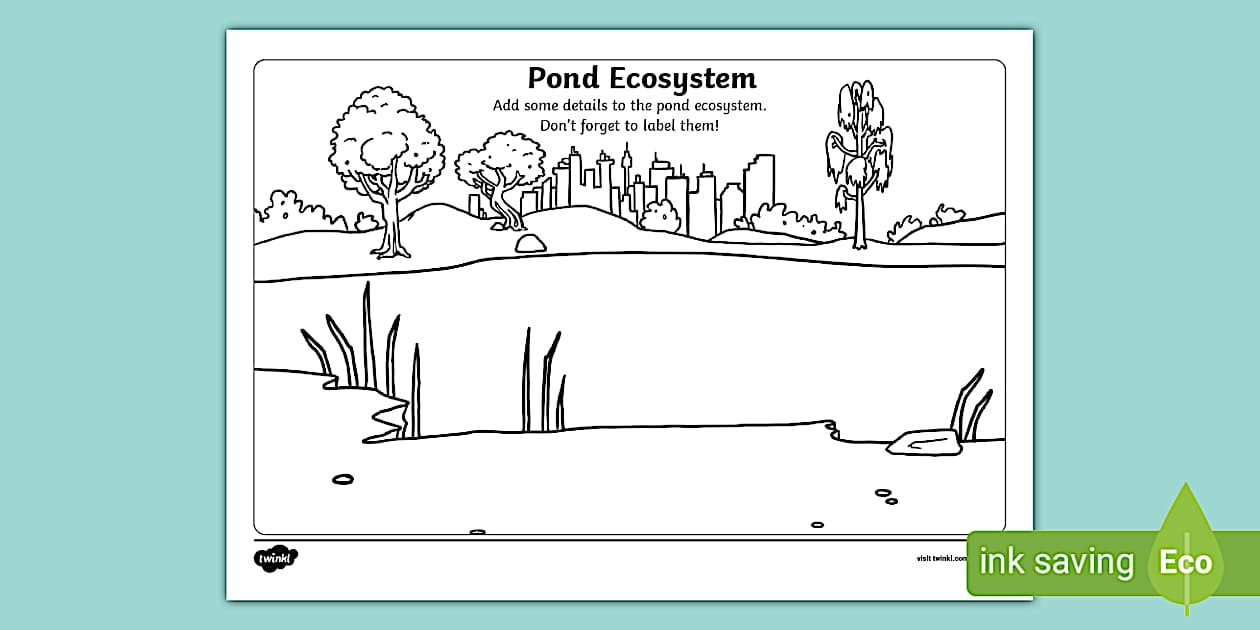 Draw the Pond Ecosystem Worksheet (professor feito) - Twinkl Draw the Pond Ecosystem Worksheet (professor feito) - Twinkl