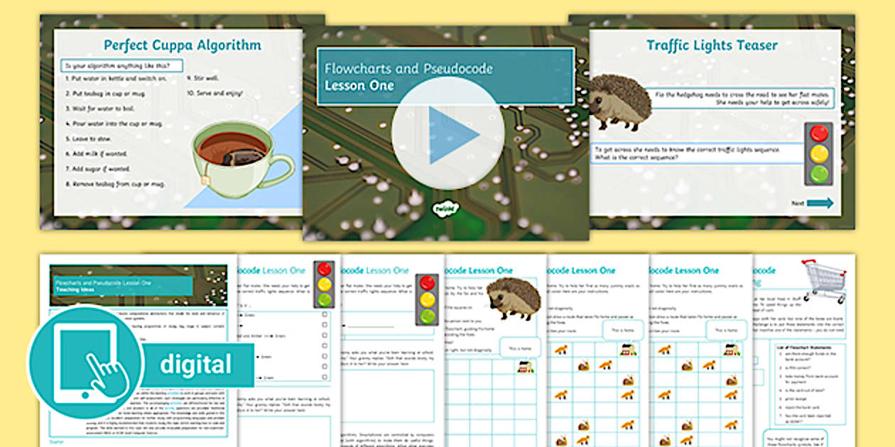 Flowcharts and Pseudocode: Lesson 1 (teacher made) - Twinkl