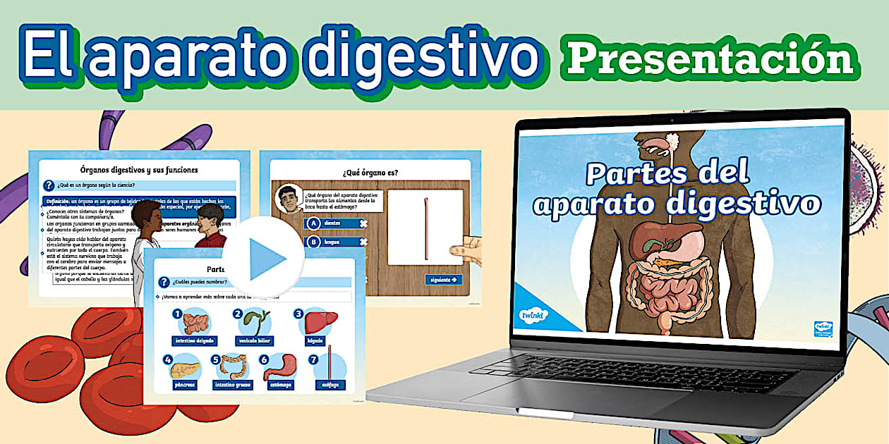 Presentación: El aparato digestivo