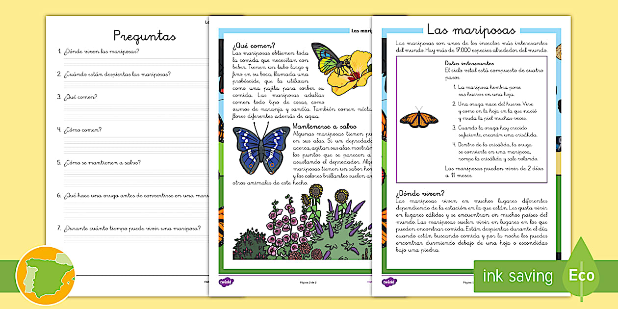 Comprensión lectora: Las mariposas