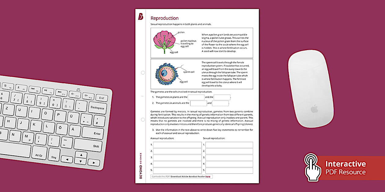 Reproduction Worksheet - Interactive | Beyond (teacher made)