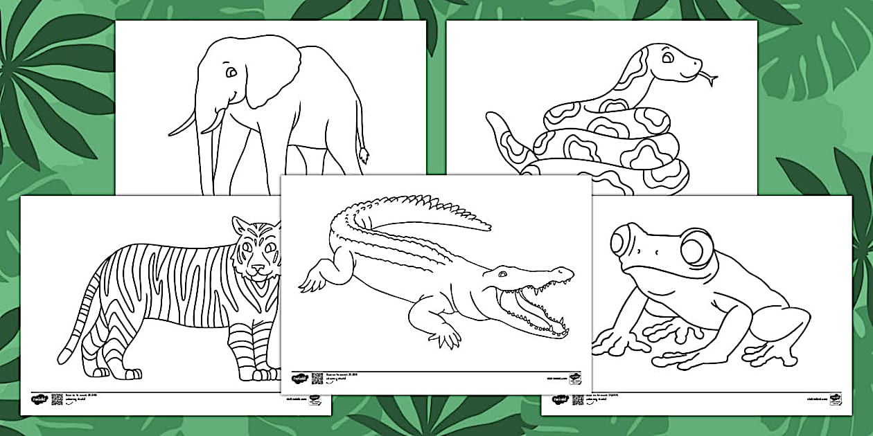 Jungle Animals Black and White Sheets - Twinkl Resources