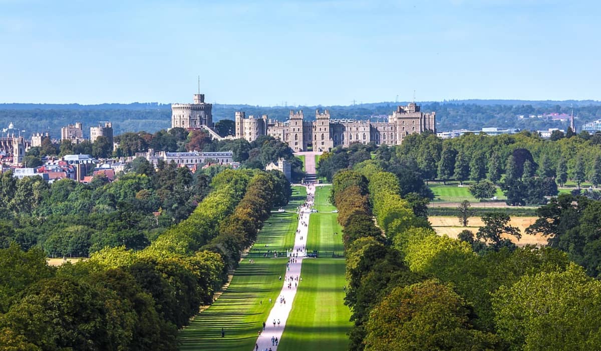 70 Trees and Woodlands Dedicated to Queen - Twinkl NewsRoom