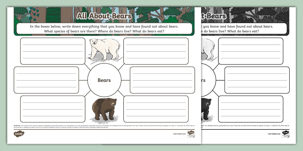 All About Bears Mind Map - Twinkl Science (teacher made)