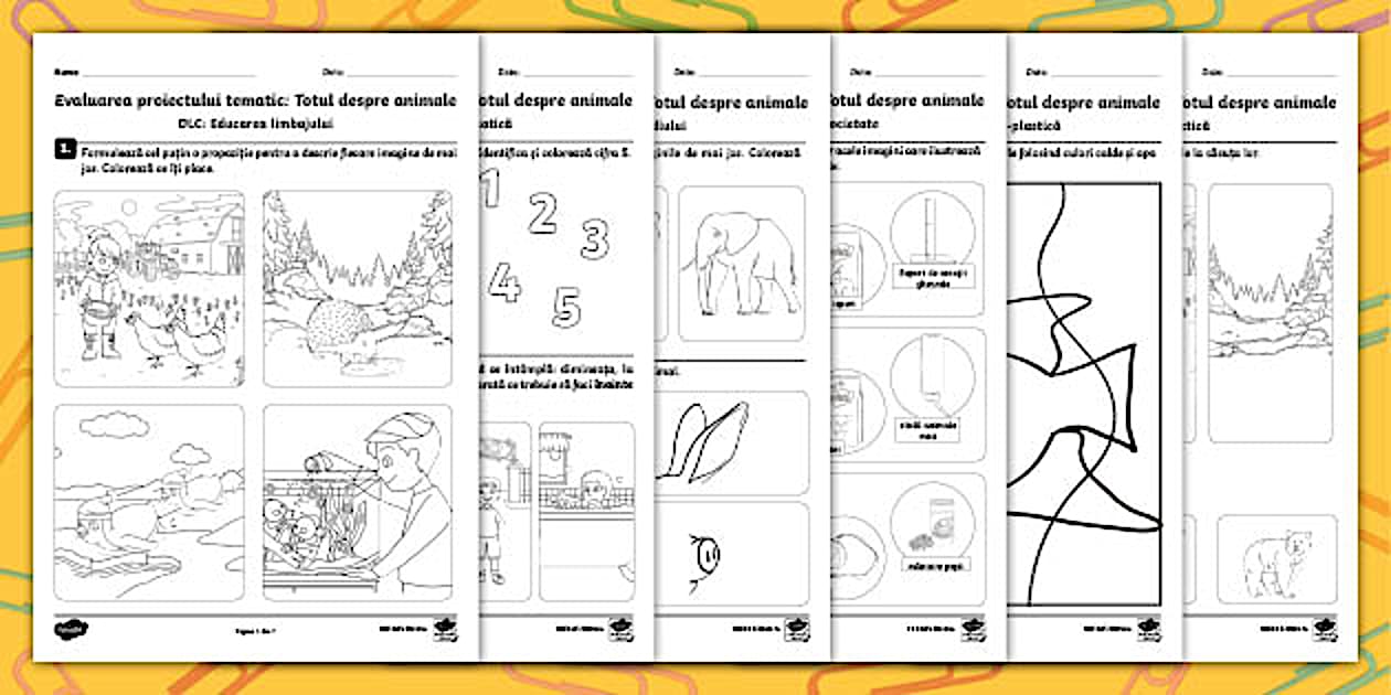 Evaluare proiect tematic Grupa mijlocie Totul despre animale
