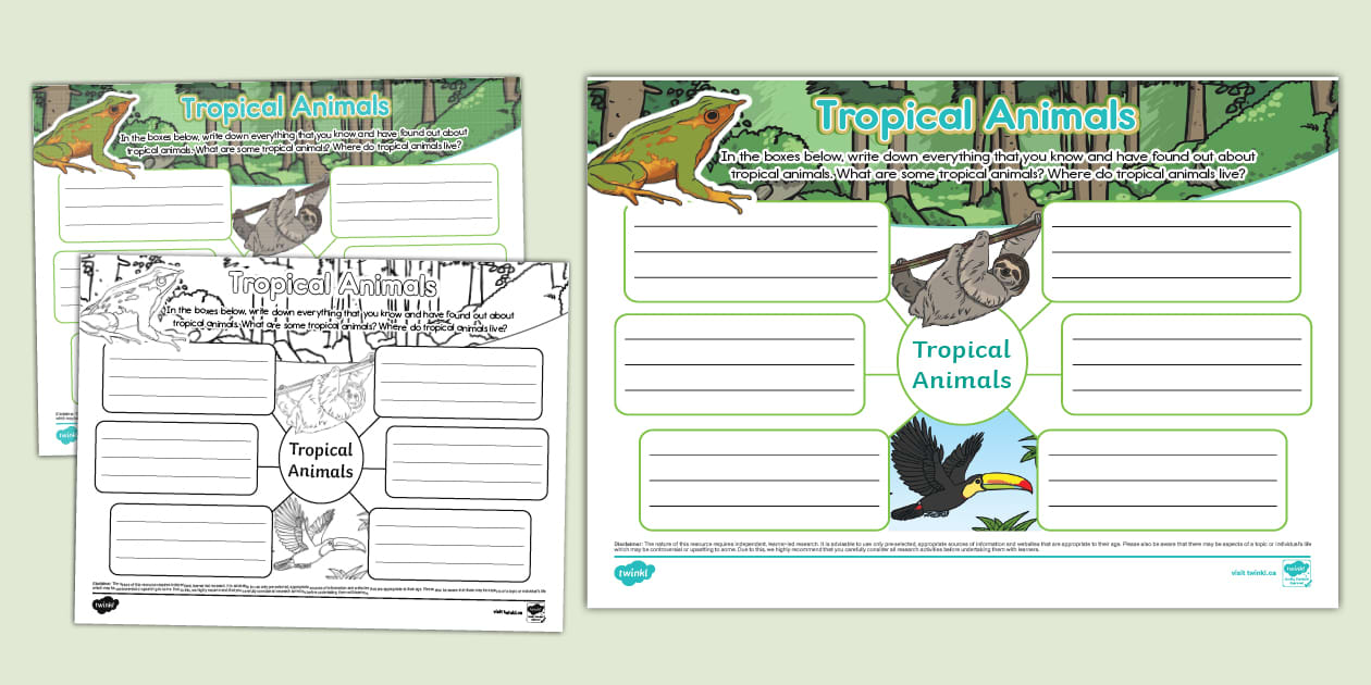 Tropical Animals Mind Map - Twinkl Science (teacher made)