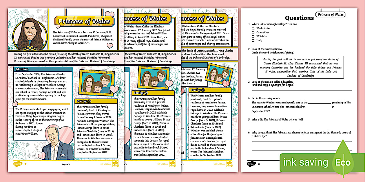 UKS2 The Princess of Wales Reading Comprehension Activity