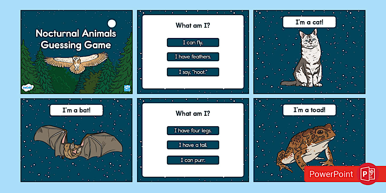 Nocturnal Animals Guessing Game PowerPoint (teacher made)