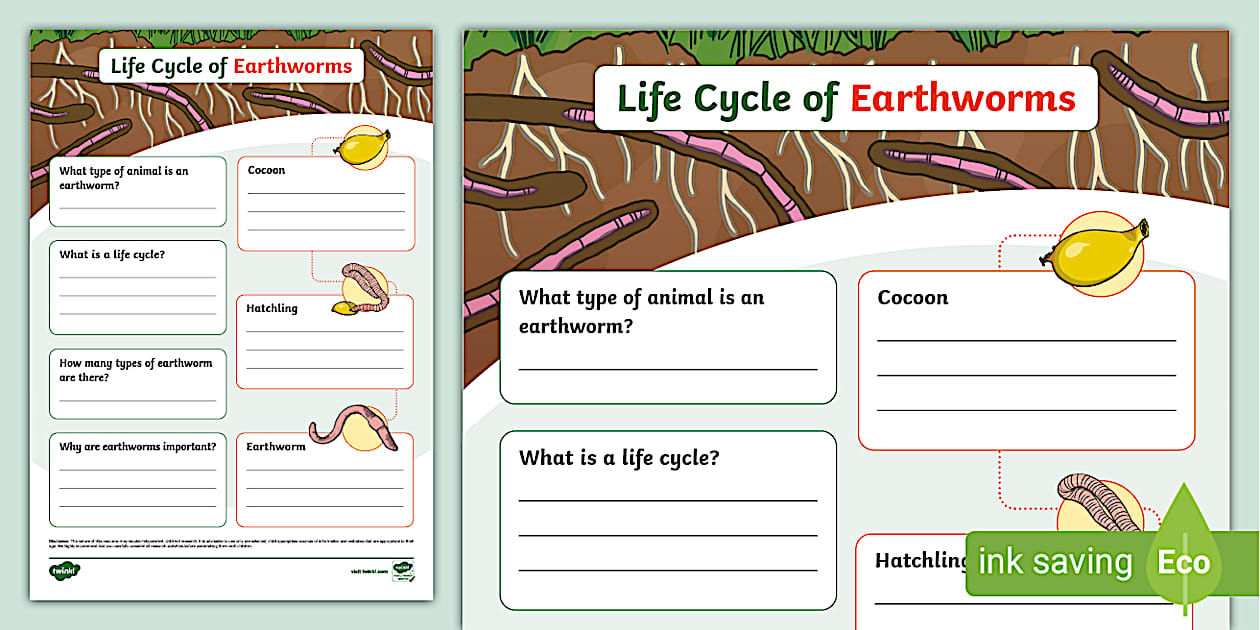Life Cycle of an Earthworm Fact File Template - Twinkl