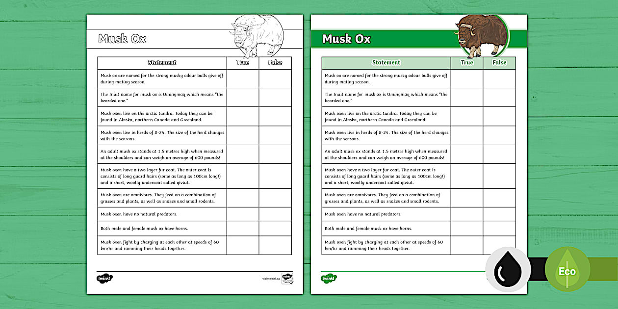 Musk Ox True or False Activity (Teacher-Made) - Twinkl