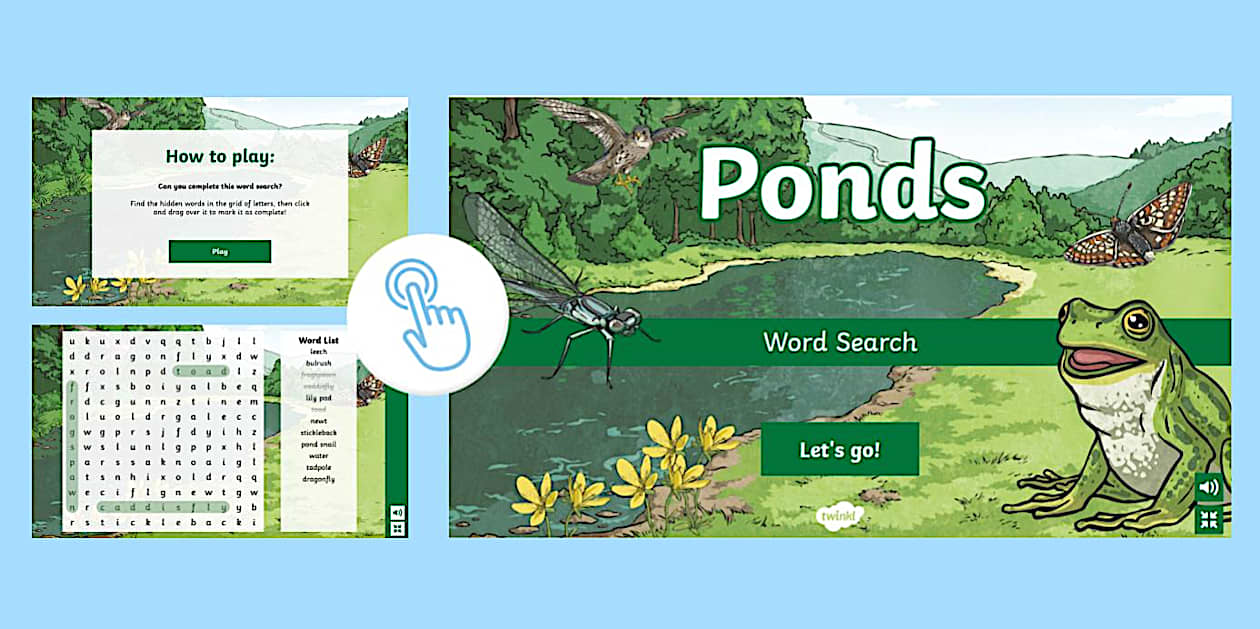 Ponds Interactive Word Search (teacher made) - Twinkl