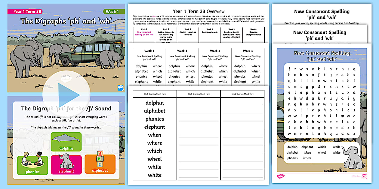 Year 1 Term 3B Week 1 Spelling Pack (teacher made) - Twinkl