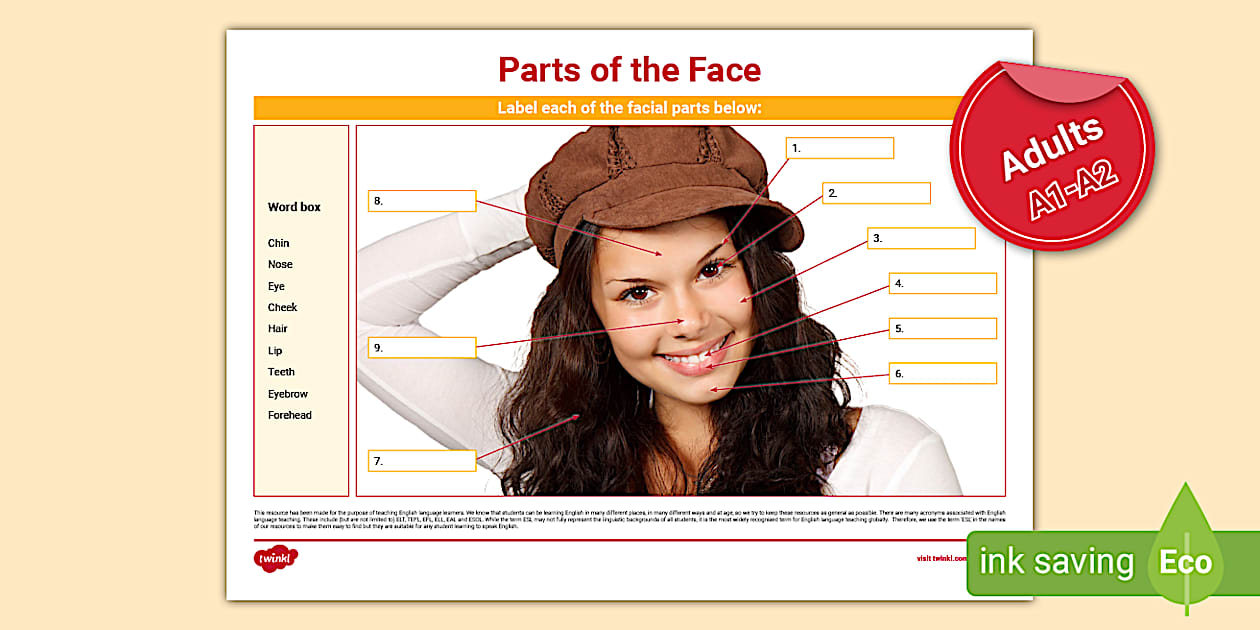 ESL Parts of the Face Labelling Activity [Adults, A1-A2]