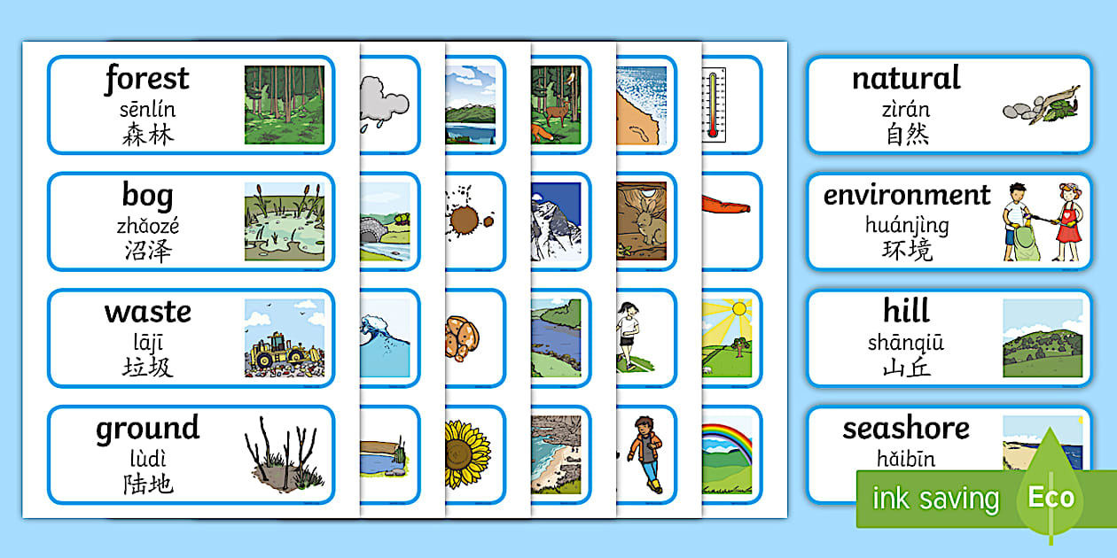 Natural Environment Word Cards - English/Mandarin Chinese/Pinyin - ROI