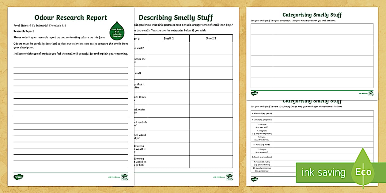 Smells Activity Pack (teacher made) - Twinkl