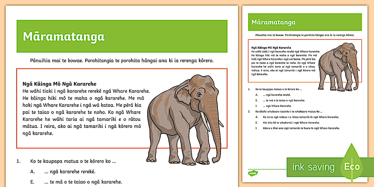 Zoo Reading Comprehension Worksheet / Worksheet - Te Reo Māori