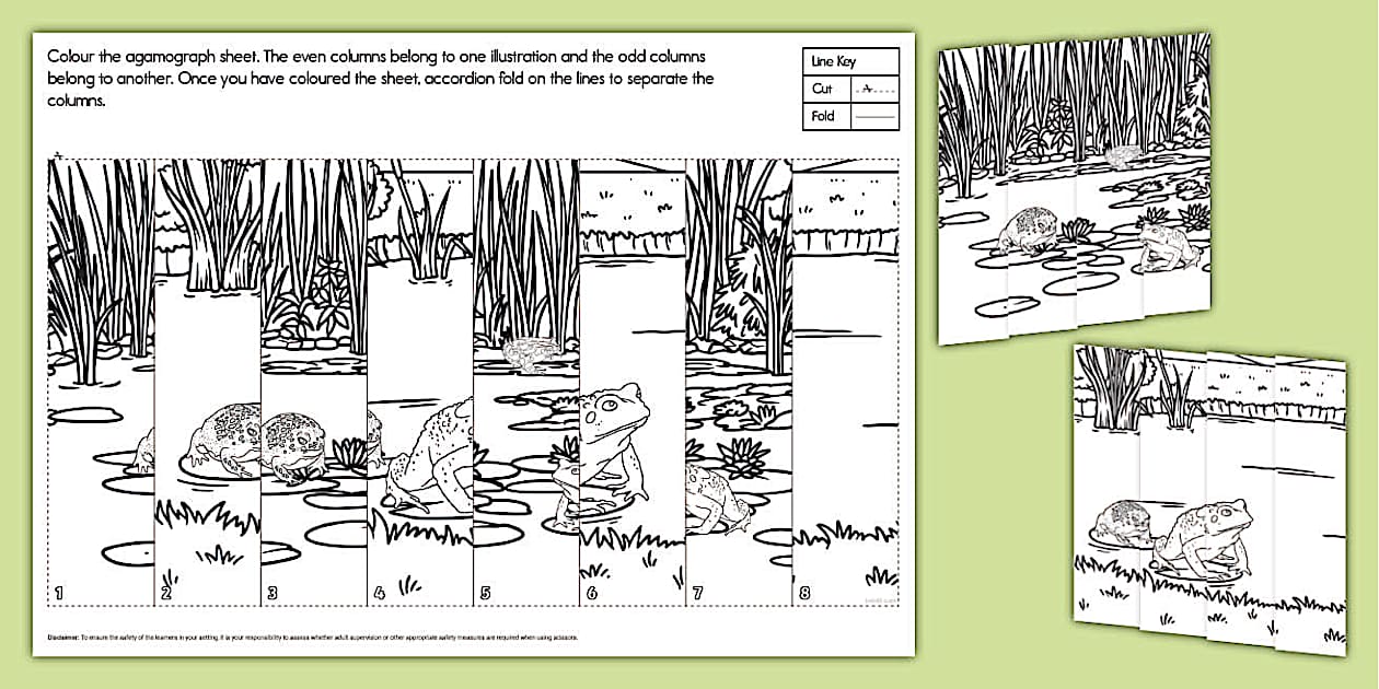 Toad Agamograph - Twinkl Arts and Crafts (teacher made)