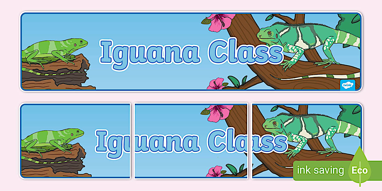 Iguana Class Display Banner (teacher made) - Twinkl